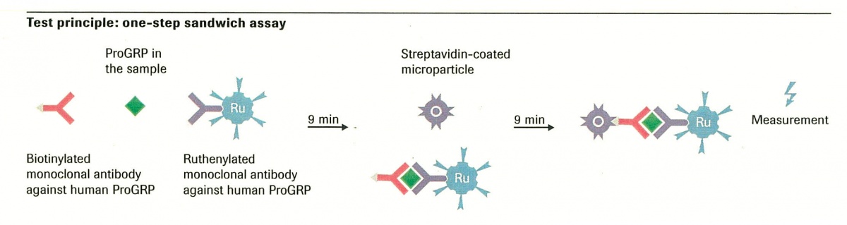 ProGRP – ויקירפואה