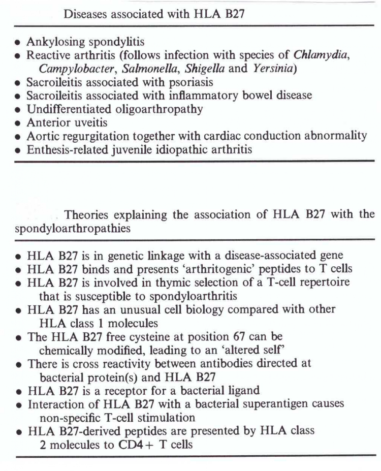 HLA-B27 – ויקירפואה